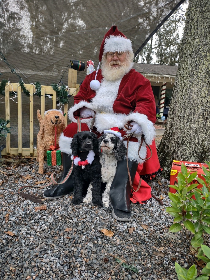 Hire Santa Eddie - Santa Claus in Savannah, Georgia