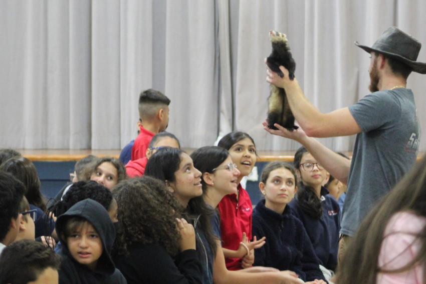 Hire Shadow's Mobile Reptile Show - Reptile Show in Miami, Florida