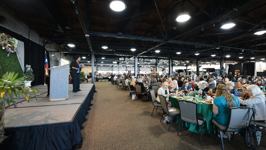 Hire Sheila Robinson-Kiss, Msw, Lcsw - Motivational Speaker in Fair ...