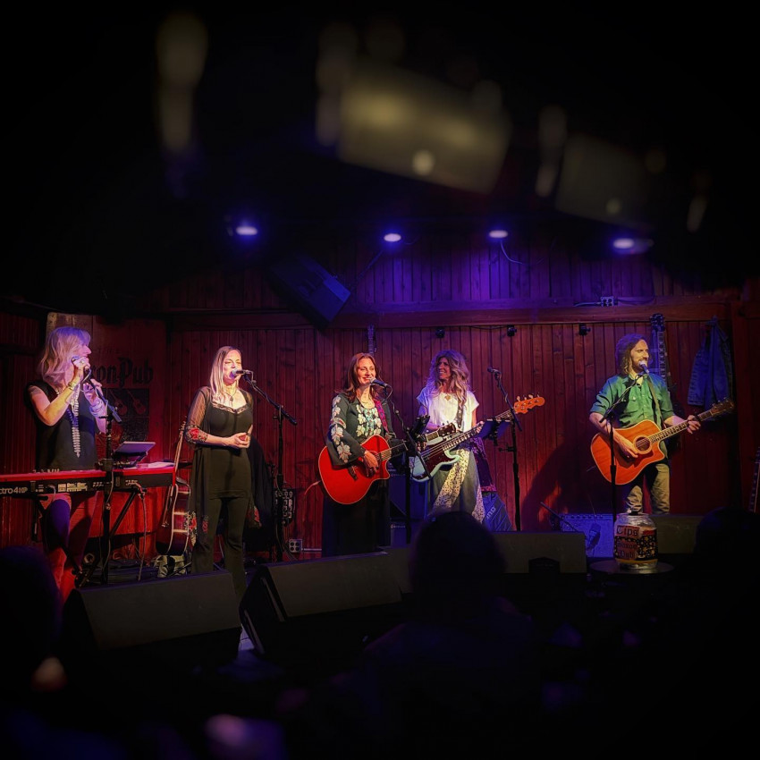 Hire Sister Golden Hair The Band - Cover Band in Austin, Texas