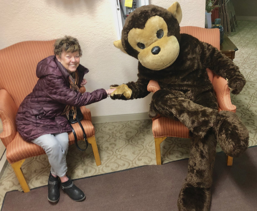 Hire Nonsensical Mascot Encounters: Brief, Unexpected & Totally ...