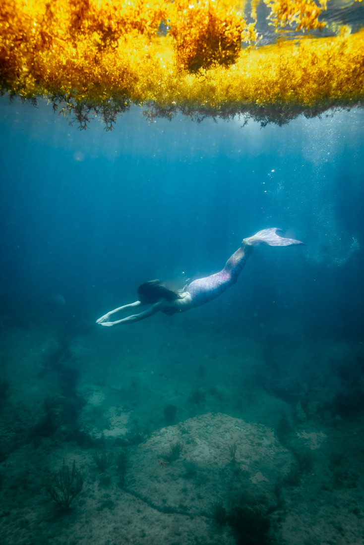 Hire Swim Splash Mermaid - Mermaid Entertainment in Toronto, Ontario