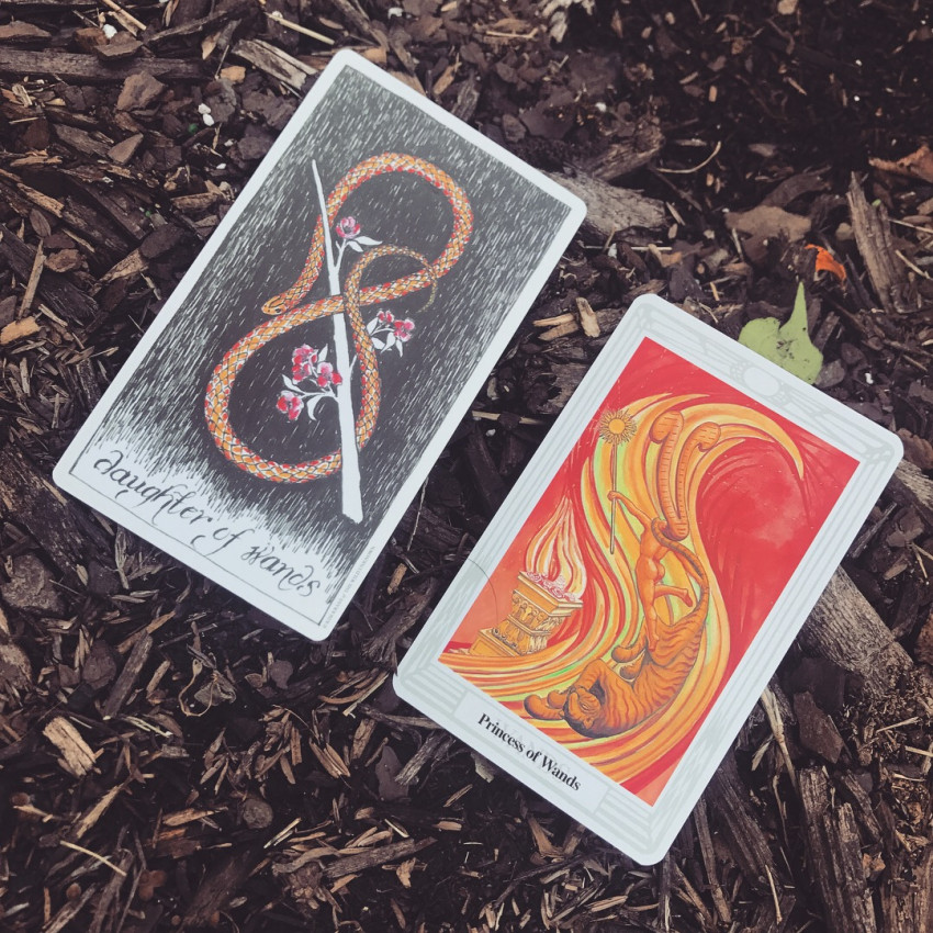 Hire Sydney’s Parlor of Divination - Tarot Reader in Denton, Texas