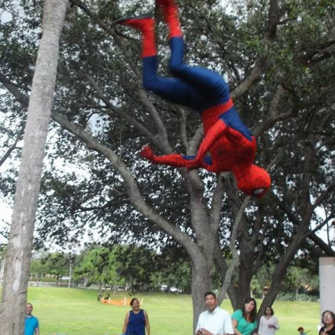 Hire Team Spider-man - Acrobat in Pompano Beach, Florida