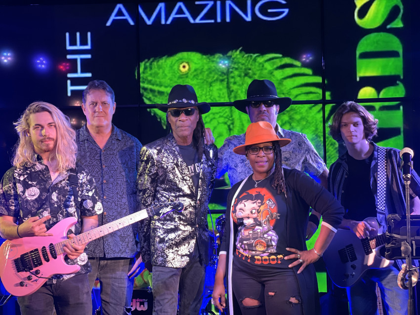 Hire The Amazing Lounge Lizards - Wedding Band in Raleigh, North Carolina