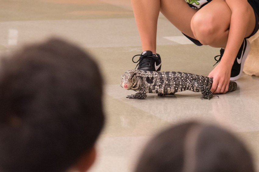 Hire The Creature Teacher - Animal Entertainment in Waxahachie, Texas