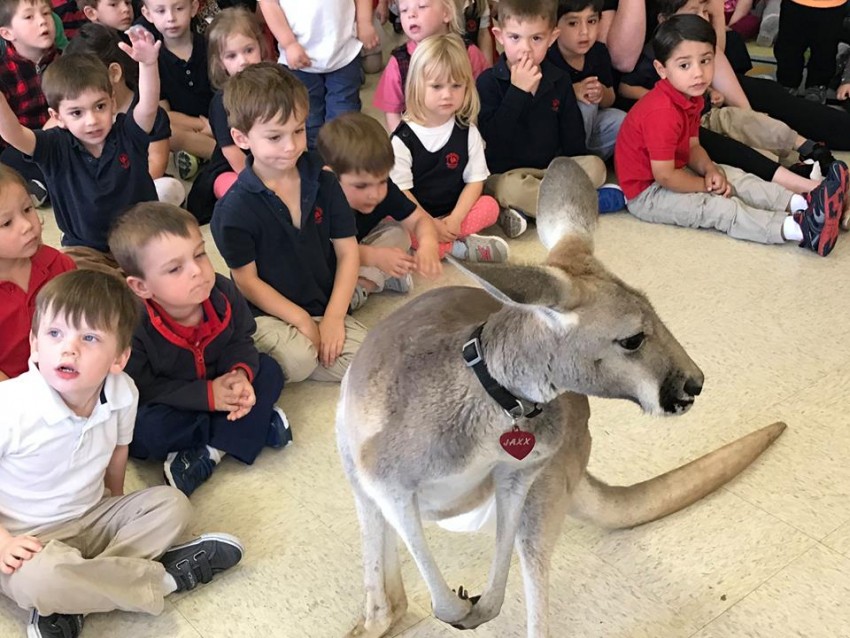 Hire The Creature Teacher - Animal Entertainment in Waxahachie, Texas