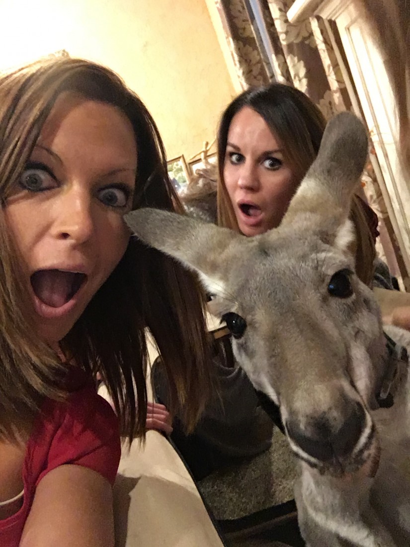 Hire The Creature Teacher - Animal Entertainment in Waxahachie, Texas