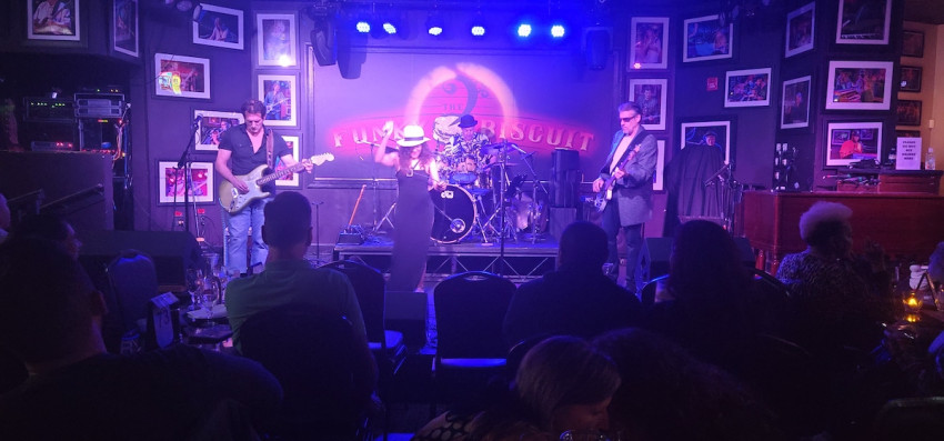 Hire The Lulu Project - Party Band in Fort Lauderdale, Florida