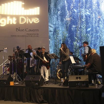 Hire The "Revolving Door Band" - Classic Rock Band in Long Beach ...