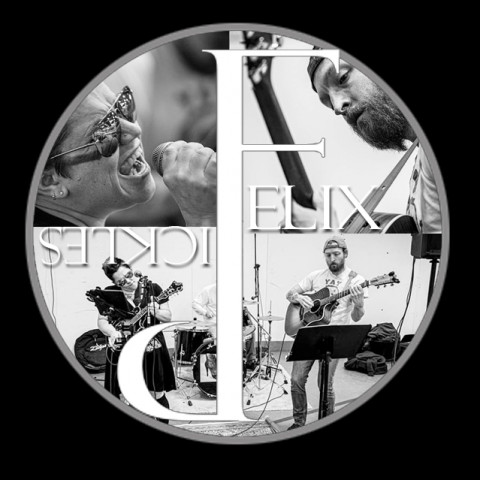 Hire Felix Pickles - Cover Band in Purcellville, Virginia