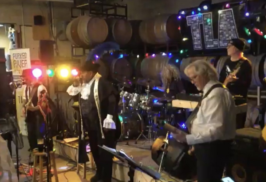 Hire TLA (Three Letter Acronym) Band - Dance Band in London, Ontario