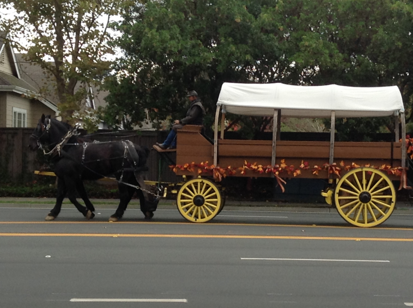 Hire Top Hand Ranch carriage service - Horse Drawn Carriage in Elverta ...