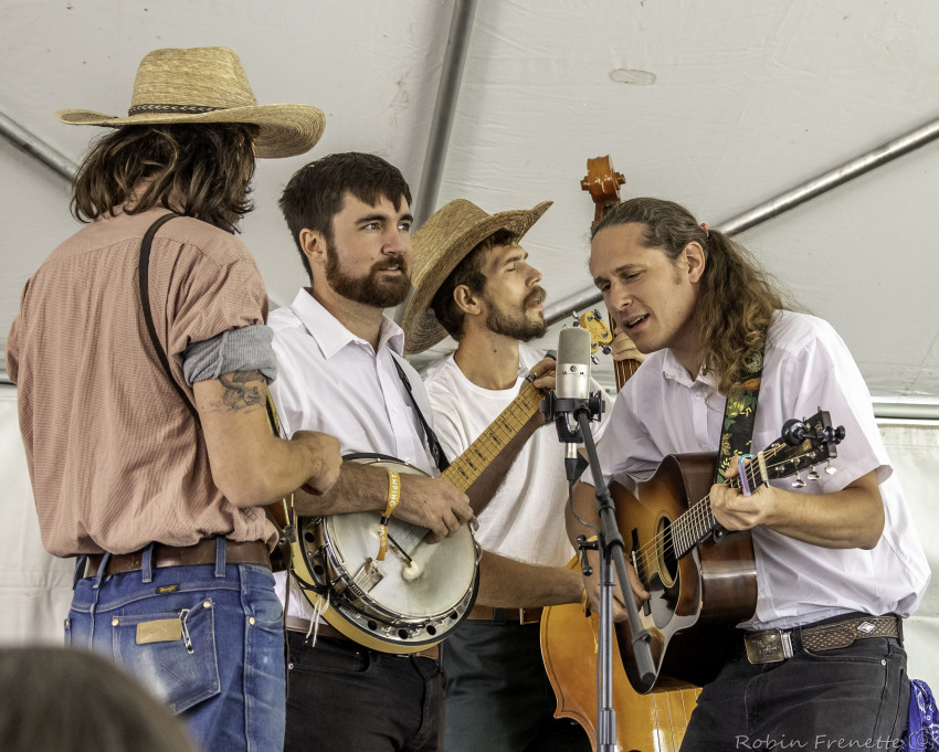 Hire Water Tower - Bluegrass Band in Los Angeles, California