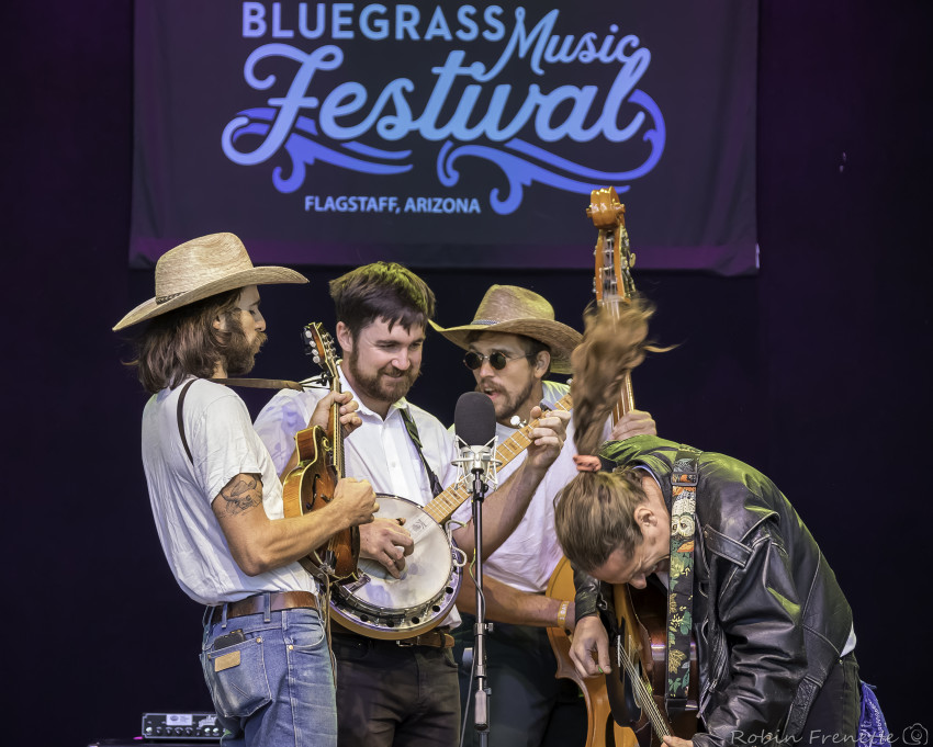 Hire Water Tower - Bluegrass Band in Los Angeles, California