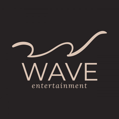 Hire Wave Entertainment - Wedding DJ in Oxford, North Carolina